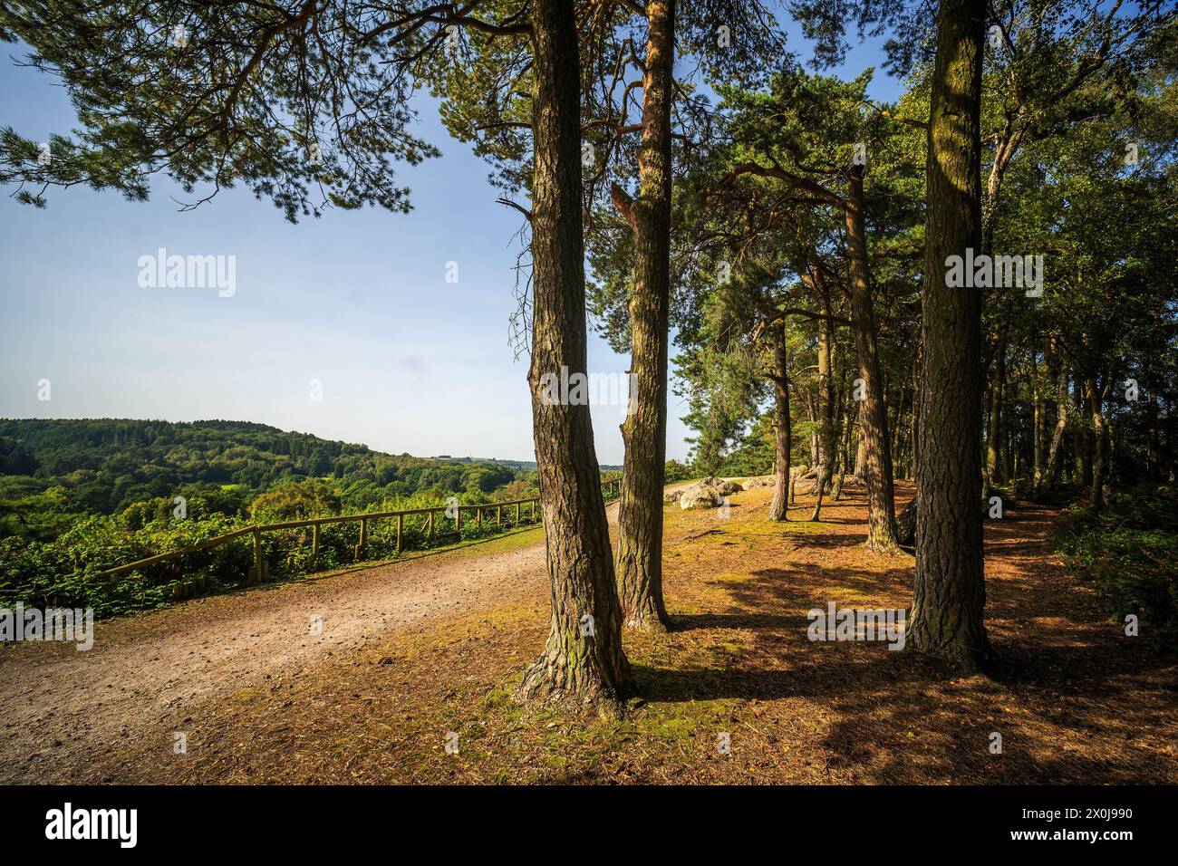 lickey hills country park west midlands england uk Stock Photo - Alamy