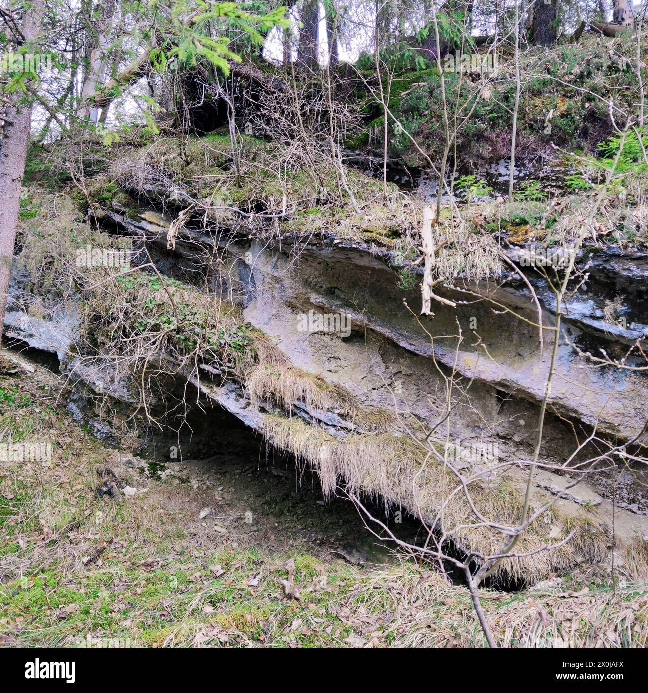 Geological outcrop near the shore in the Upper Isar Valley between ...