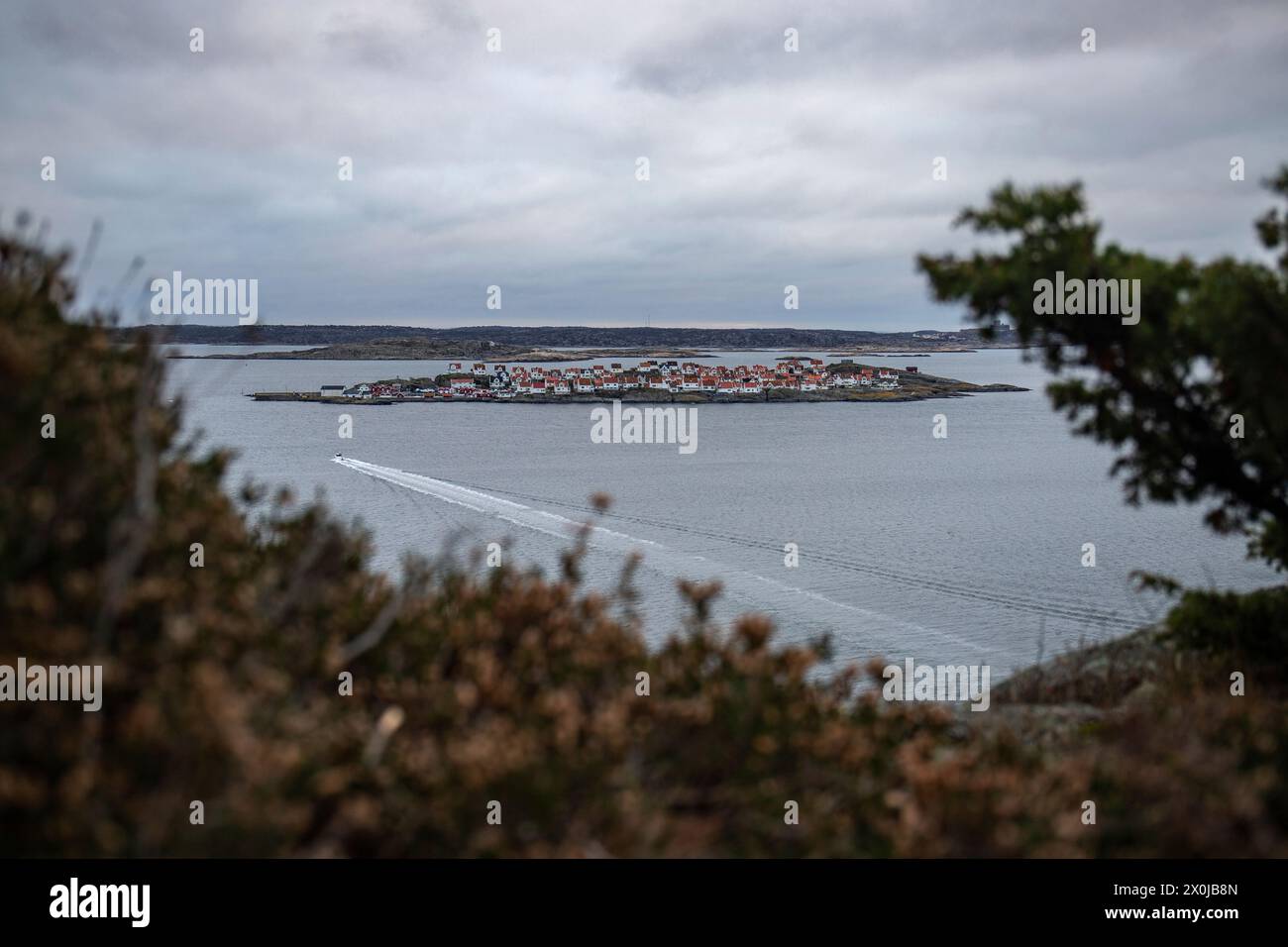 Landscape shot with a view of an island with typical Swedish houses ...