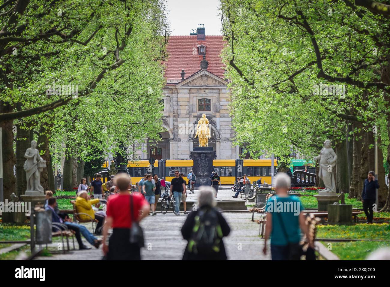 Die Hauptstraße in Dresden mit Menschen, grünen Bäumen Goldener Reiter ...