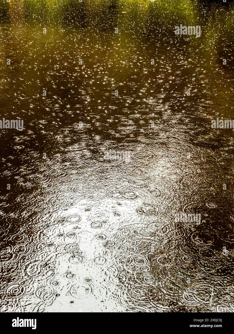 Rain, pond, water droplets, Hamburg, Northern Germany, Germany Stock ...