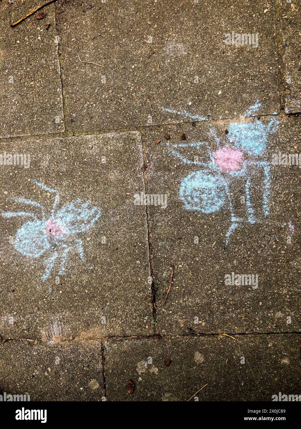 chalk drawing, childhood, sidewalk, ants, Hamburg, district, Schnelsen ...