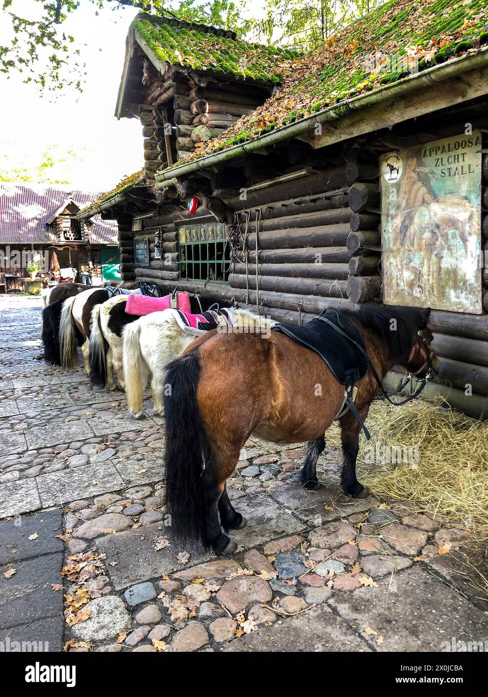 Pony forest tavern hi-res stock photography and images - Alamy
