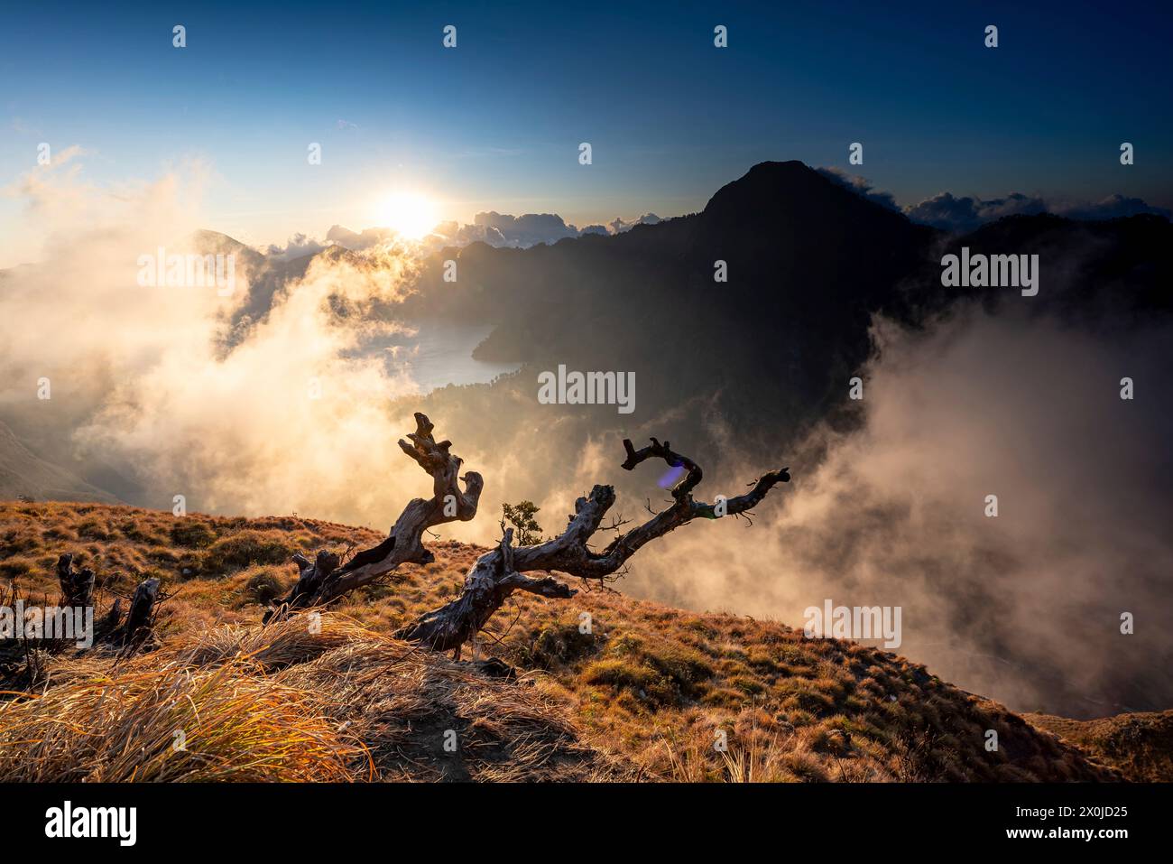 Trekking up the 3726 meter high volcano Gunung Rinjani in Mount Rinjani ...