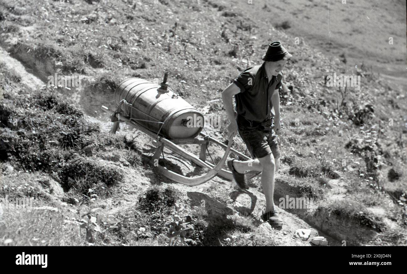 Milk barrel on sledge with dairyman Stock Photo - Alamy
