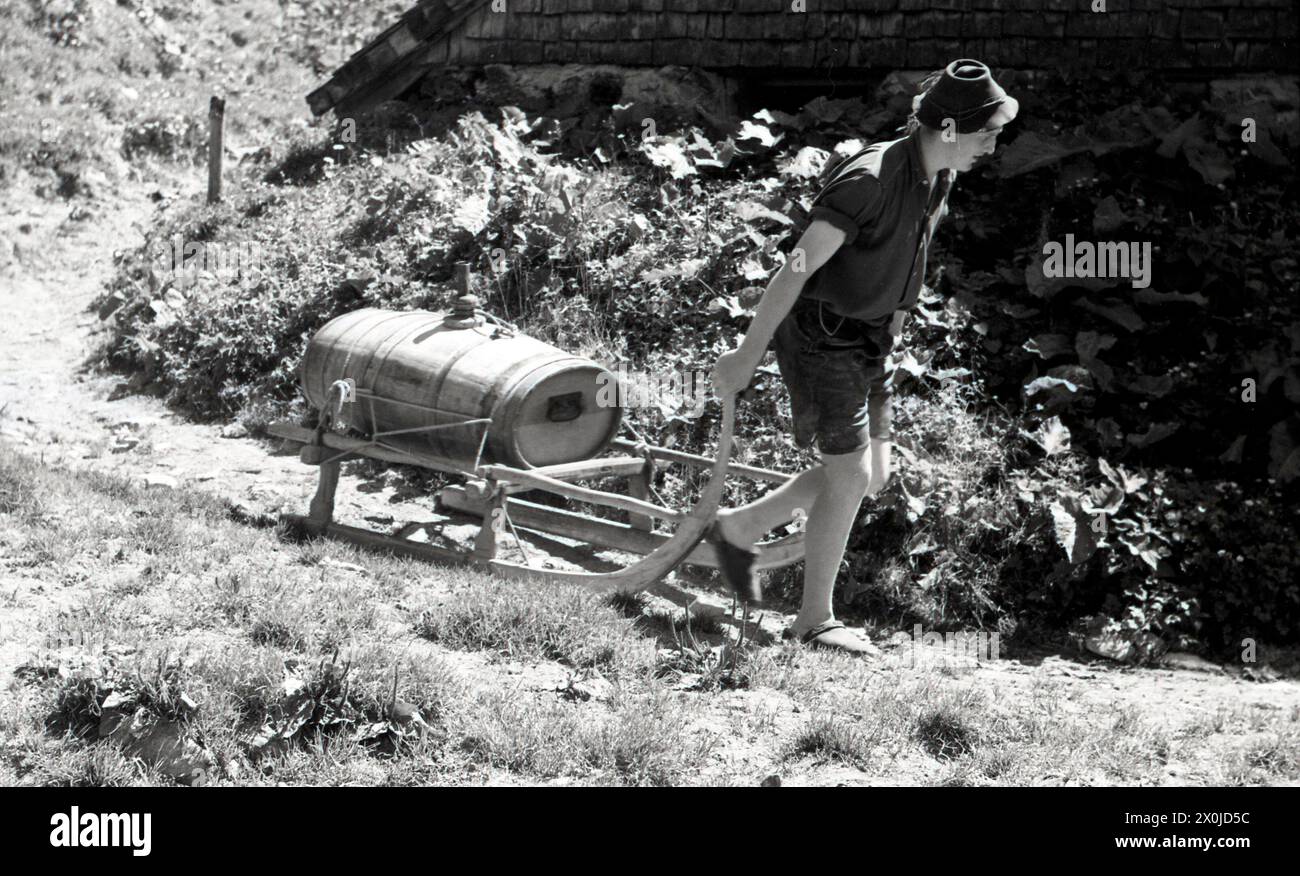 Milk barrel on sledge with dairyman Stock Photo - Alamy