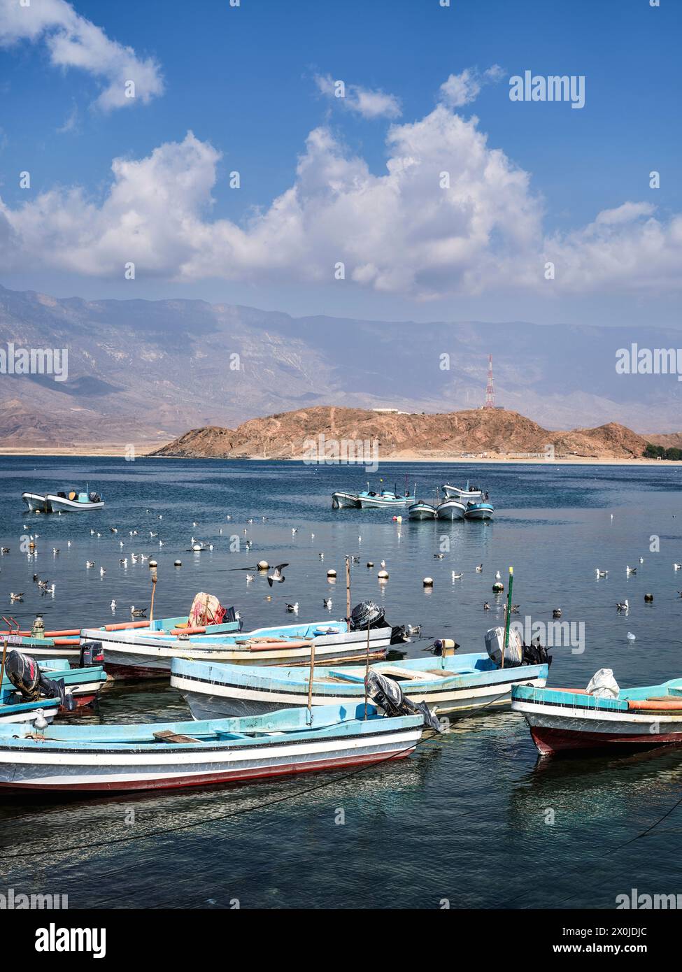 Oman fisheries hi-res stock photography and images - Alamy