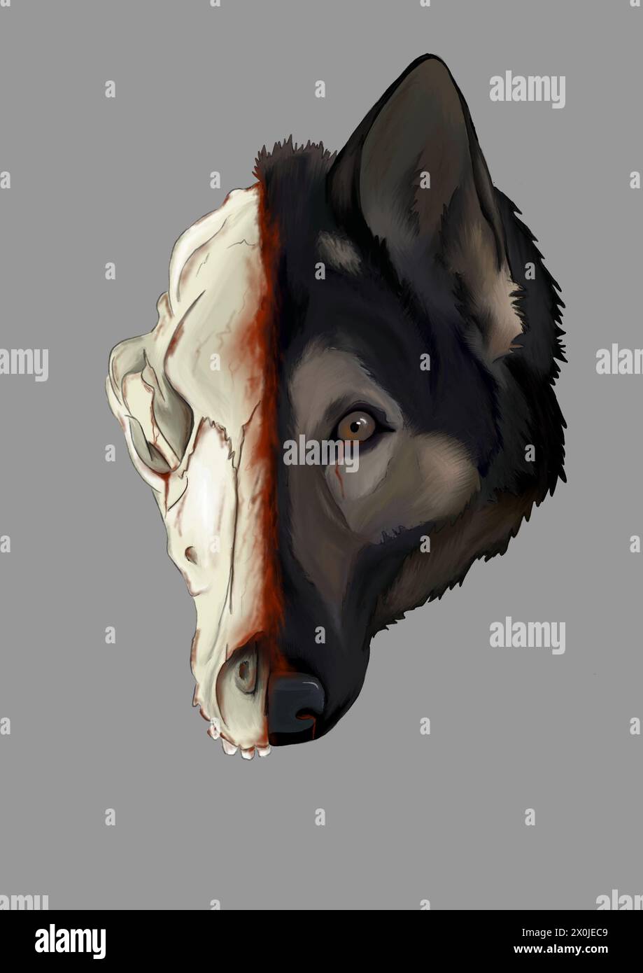 Skull dog digital illustration Stock Photo - Alamy