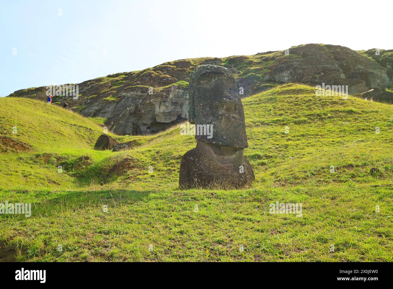 One of abandoned massive Moai statues on the slope of Rano Raraku ...