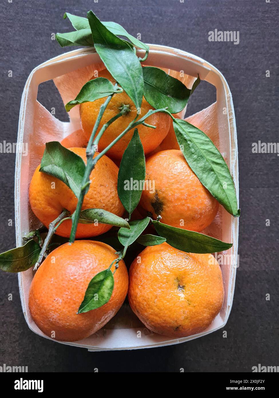The orange fruits of the clementine or mandarins packed in a box with ...