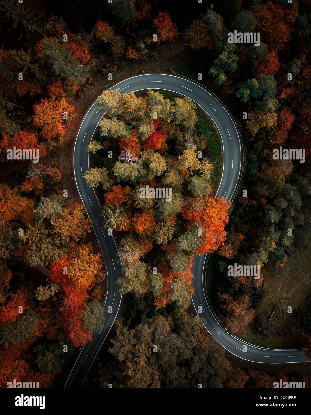 Curvy road in Baden-Württemberg in autumn with colorful foliage, Curve ...