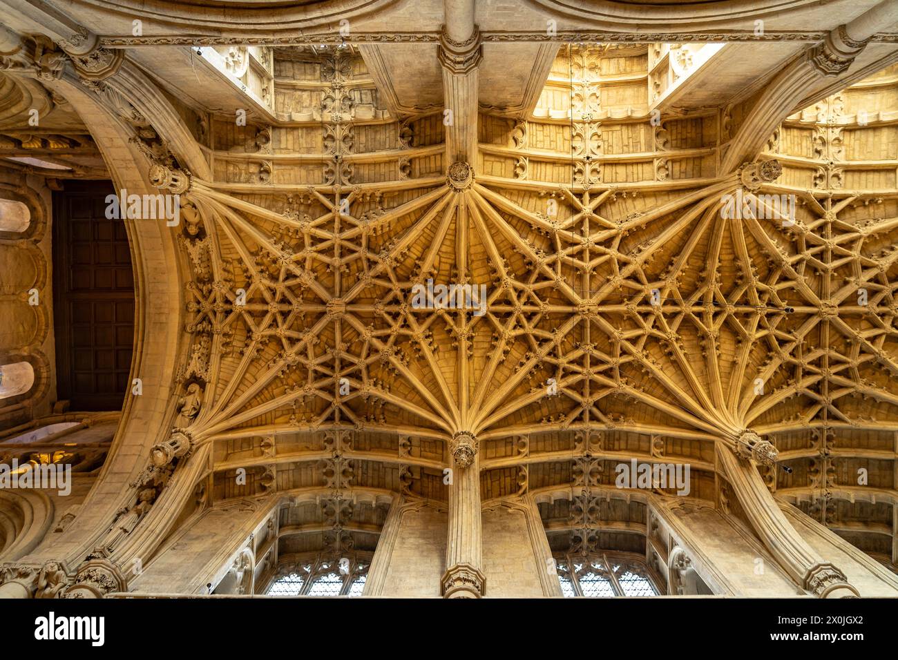 Ceiling vault of Christ Church College Cathedral, Oxford, Oxfordshire ...