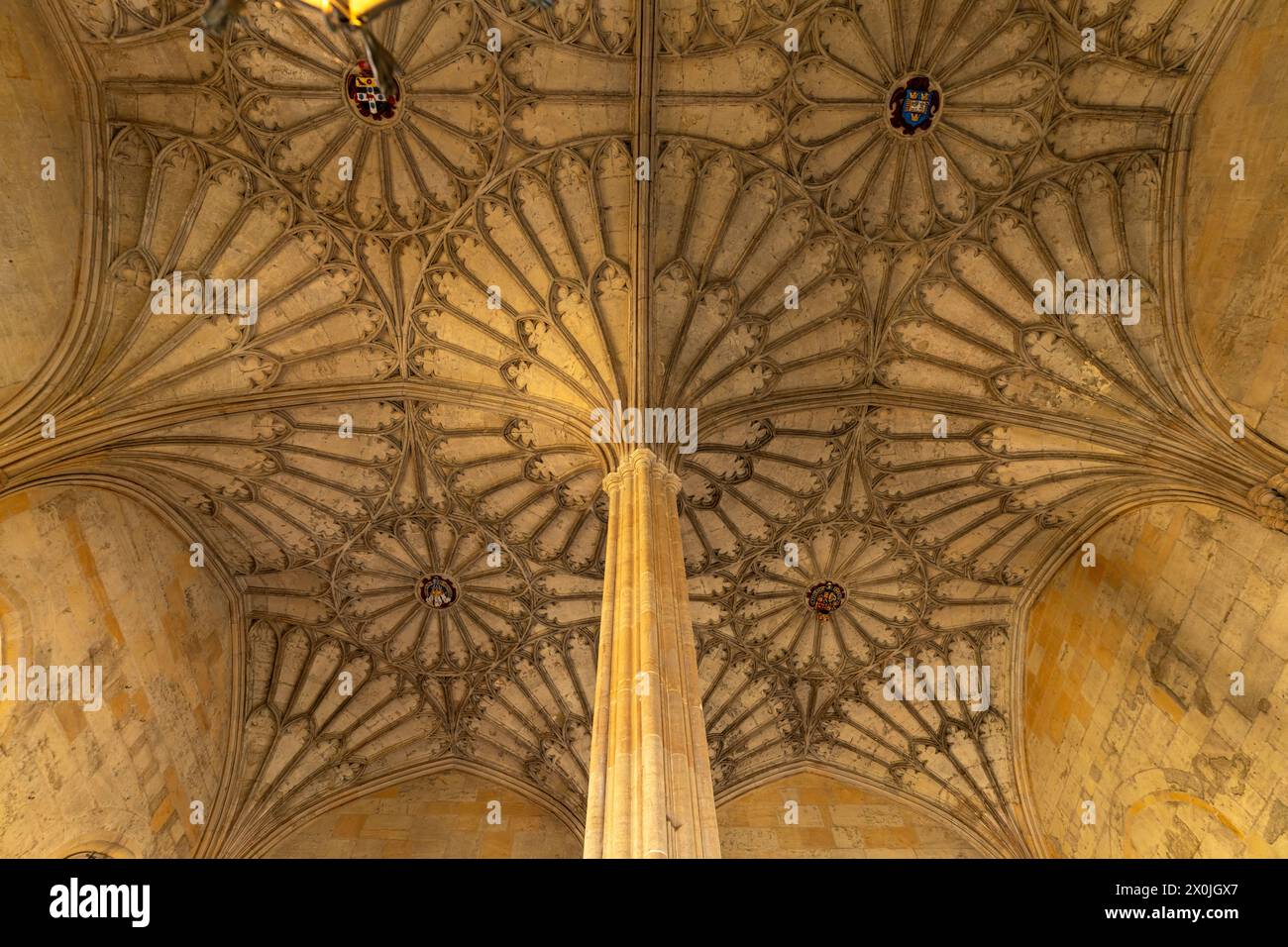 Fan vault in the staircase of christ church college hi-res stock ...