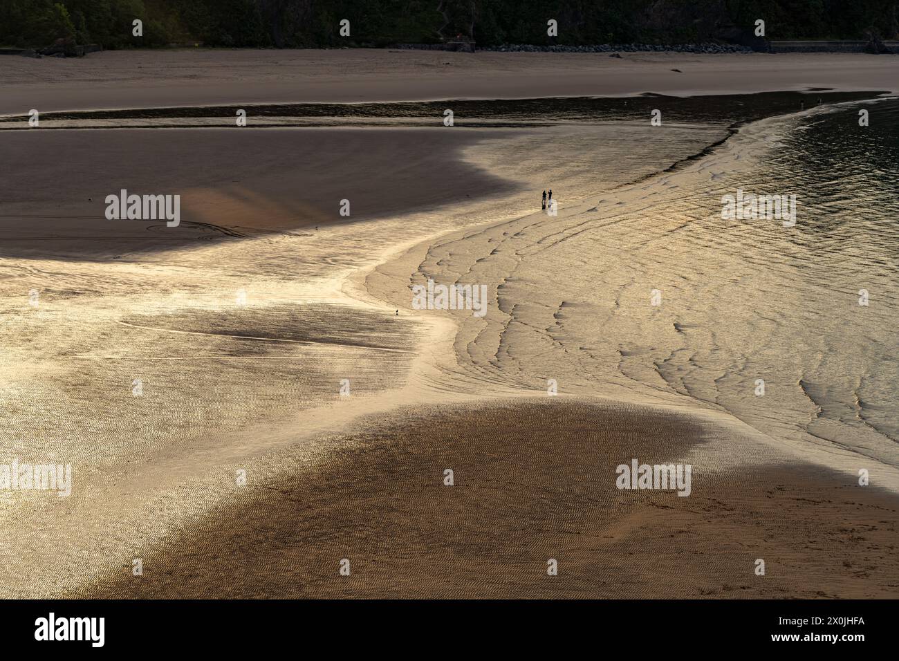 Tenby castle beach at sunset hi-res stock photography and images - Alamy