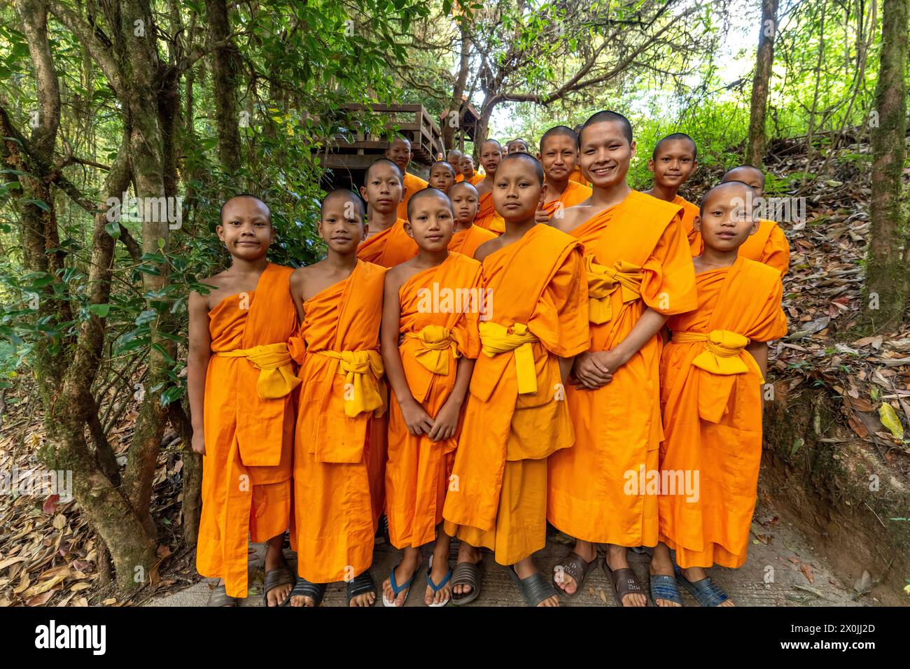 Inthanon mountain trail hi-res stock photography and images - Alamy