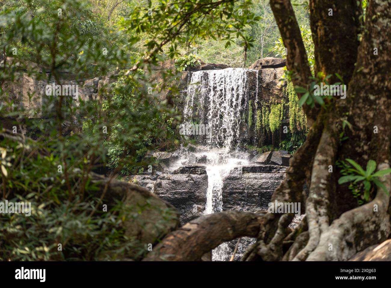 Klong Chao waterfall on the island of Ko Kut or Koh Kood in the Gulf of ...