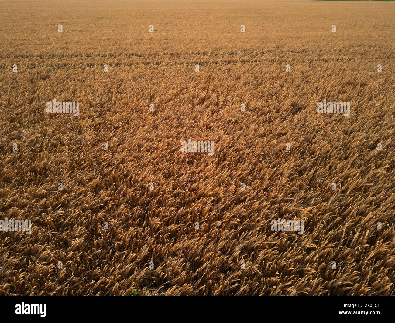 Aerial dolly hi-res stock photography and images - Alamy