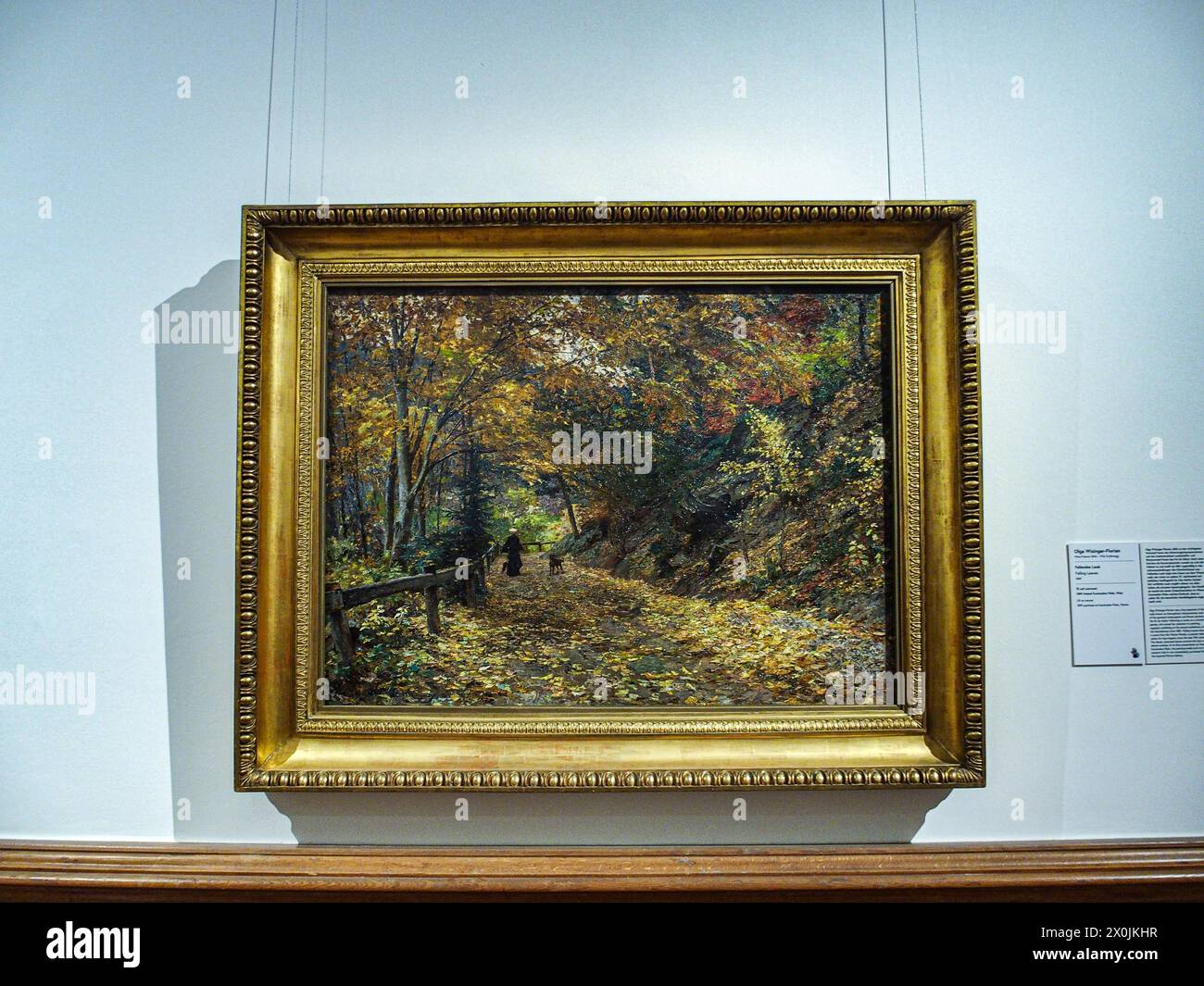 Wisinger florians hi-res stock photography and images - Alamy