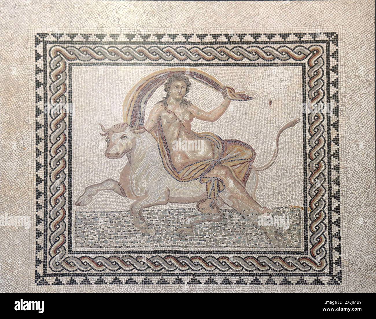 Bull zeus hi-res stock photography and images - Alamy