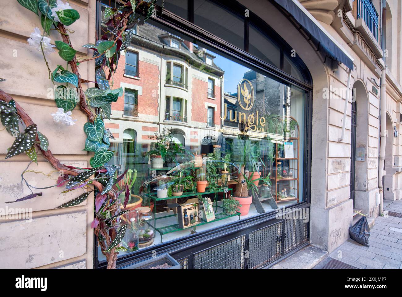 Flower store, plants, house facade, facade, city tour, house view ...