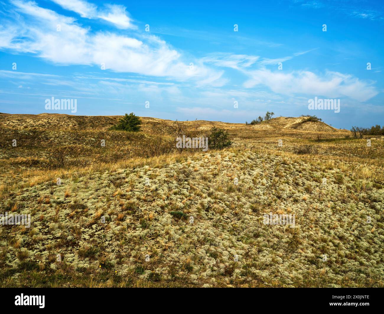 Walk along the Great Dune in Nida on the Curonian Spit, Lithuania Stock ...