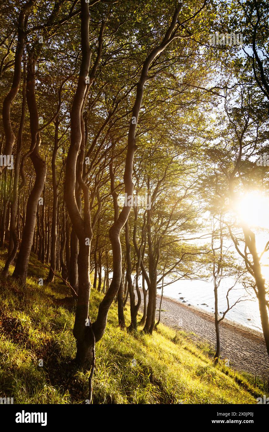 Lucky valley hi-res stock photography and images - Alamy