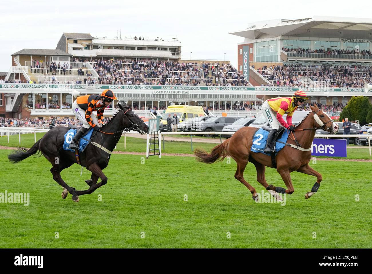 Personal ambition horse hi-res stock photography and images - Alamy