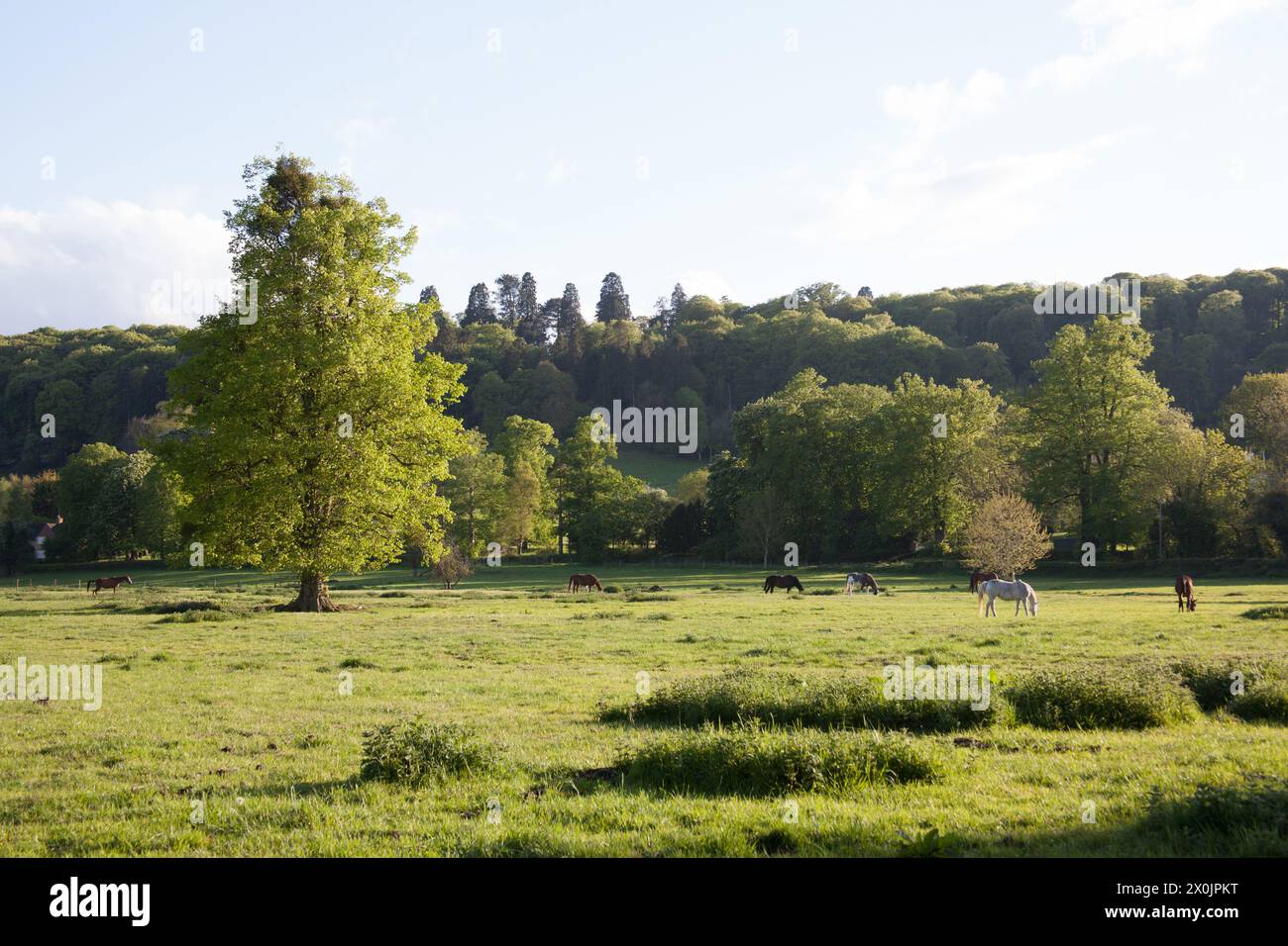 Picturesque english countryside in united hi-res stock photography and ...