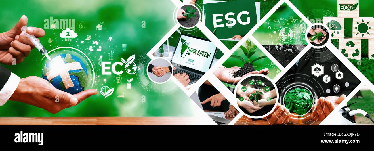 Life cycle analysis hi-res stock photography and images - Alamy