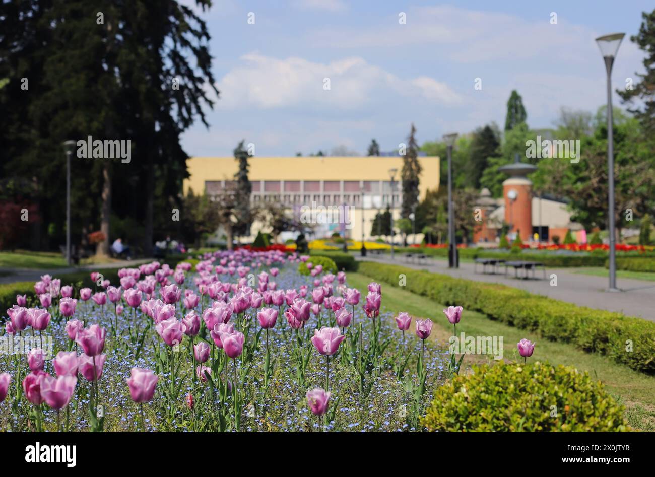 Spring in the park, Vrnjacka Banja - Serbia Stock Photo - Alamy