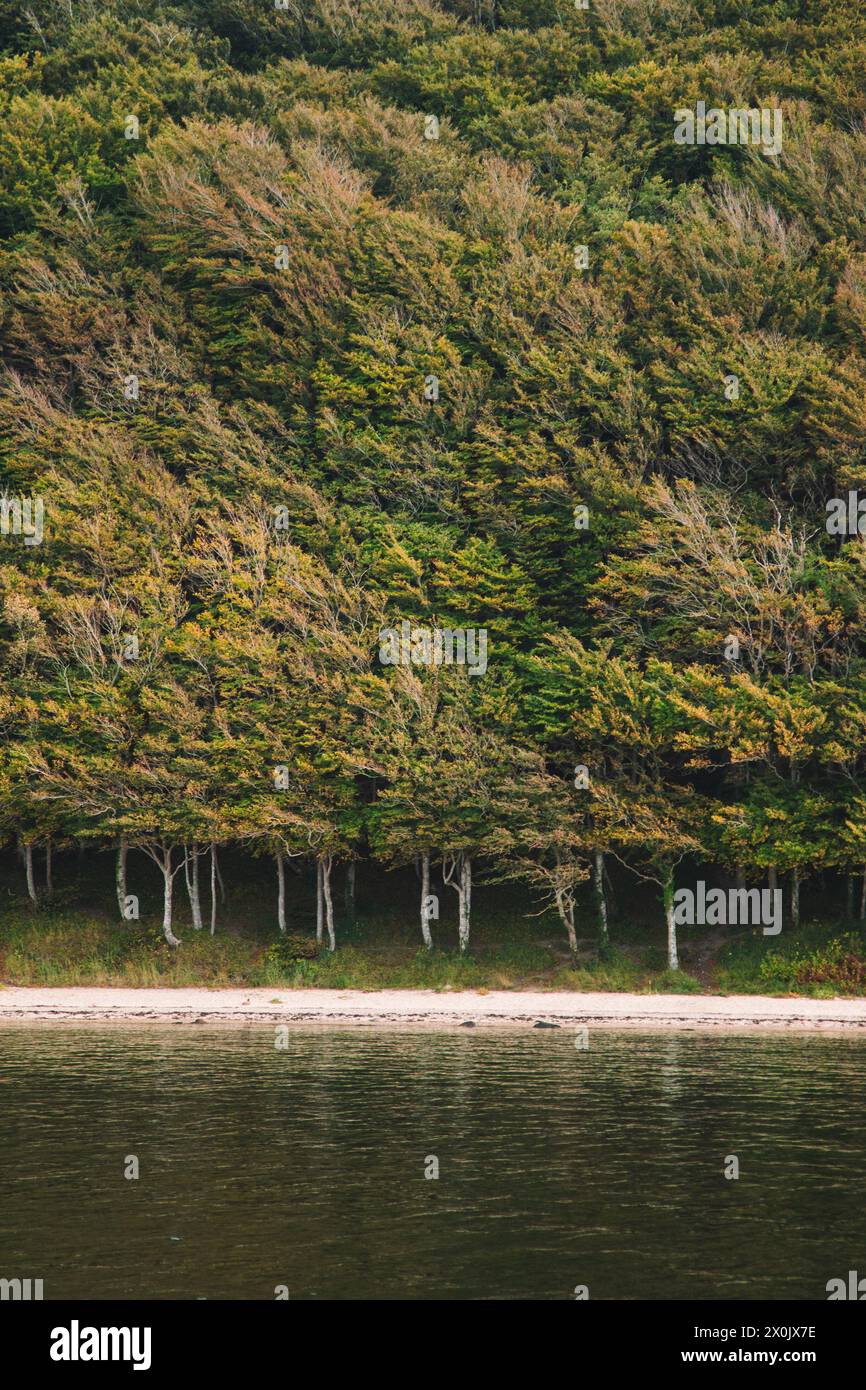 Spring valley beach Glücksburg photographed from the water Stock Photo ...