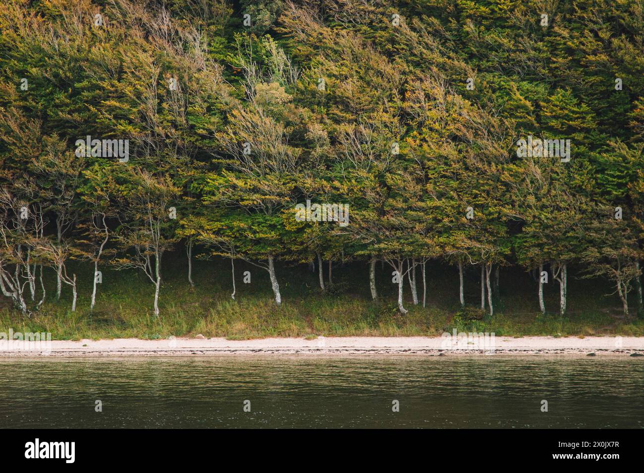 Spring valley beach Glücksburg photographed from the water Stock Photo ...