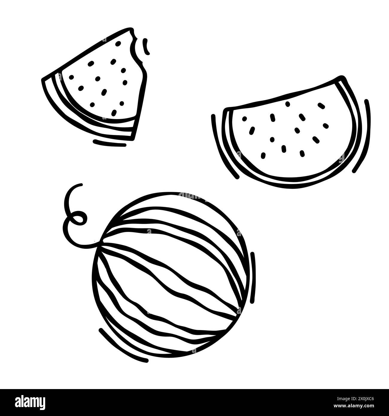 Doodle drawing of watermelon isolated on white background, drawn by pen ...