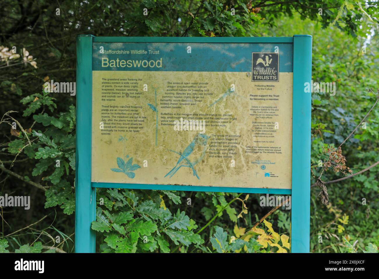An information Board, Bateswood Nature Reserve, a Staffordshire ...