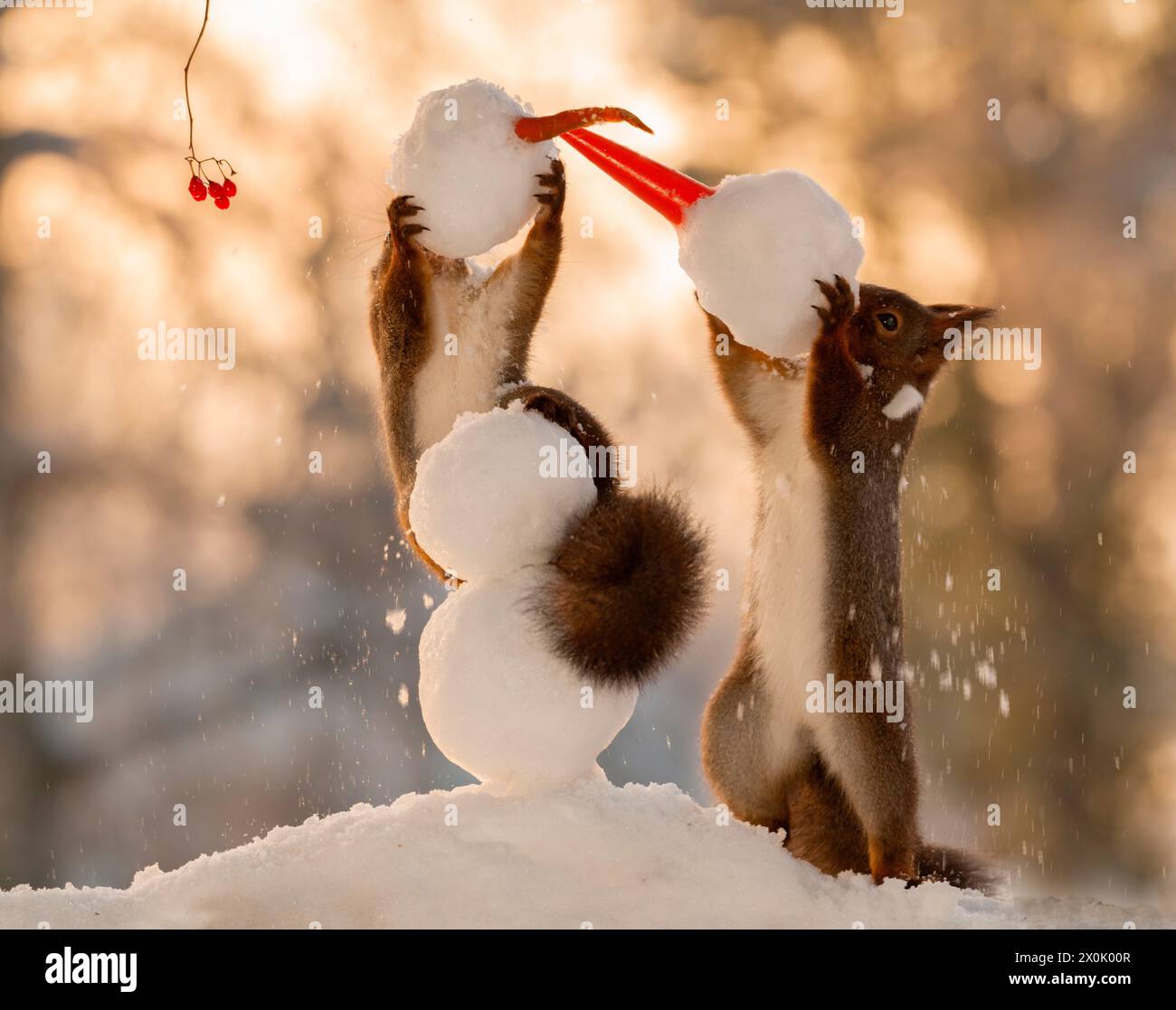 Snowman pair hi-res stock photography and images - Alamy