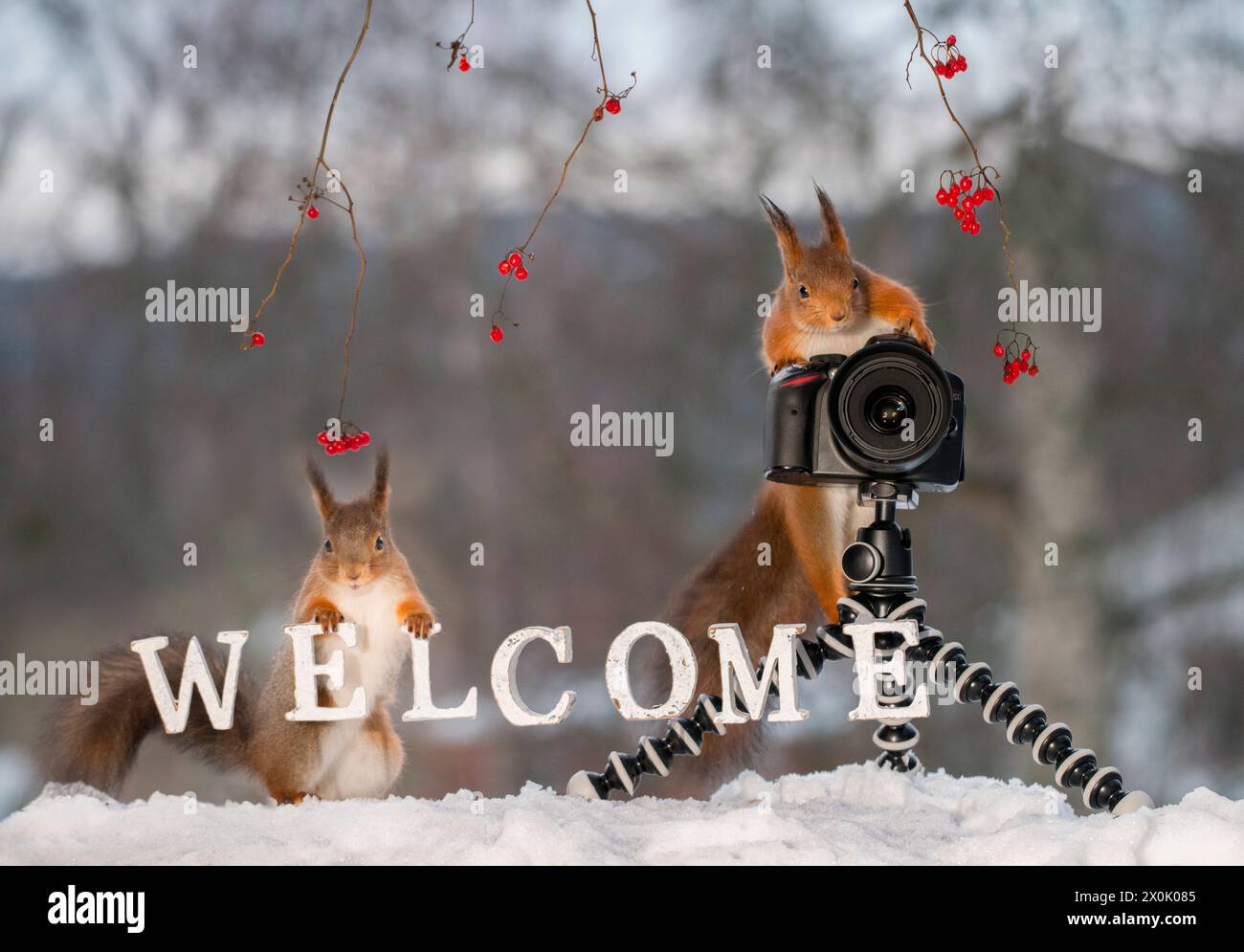 Welcome to the camera hi-res stock photography and images - Alamy