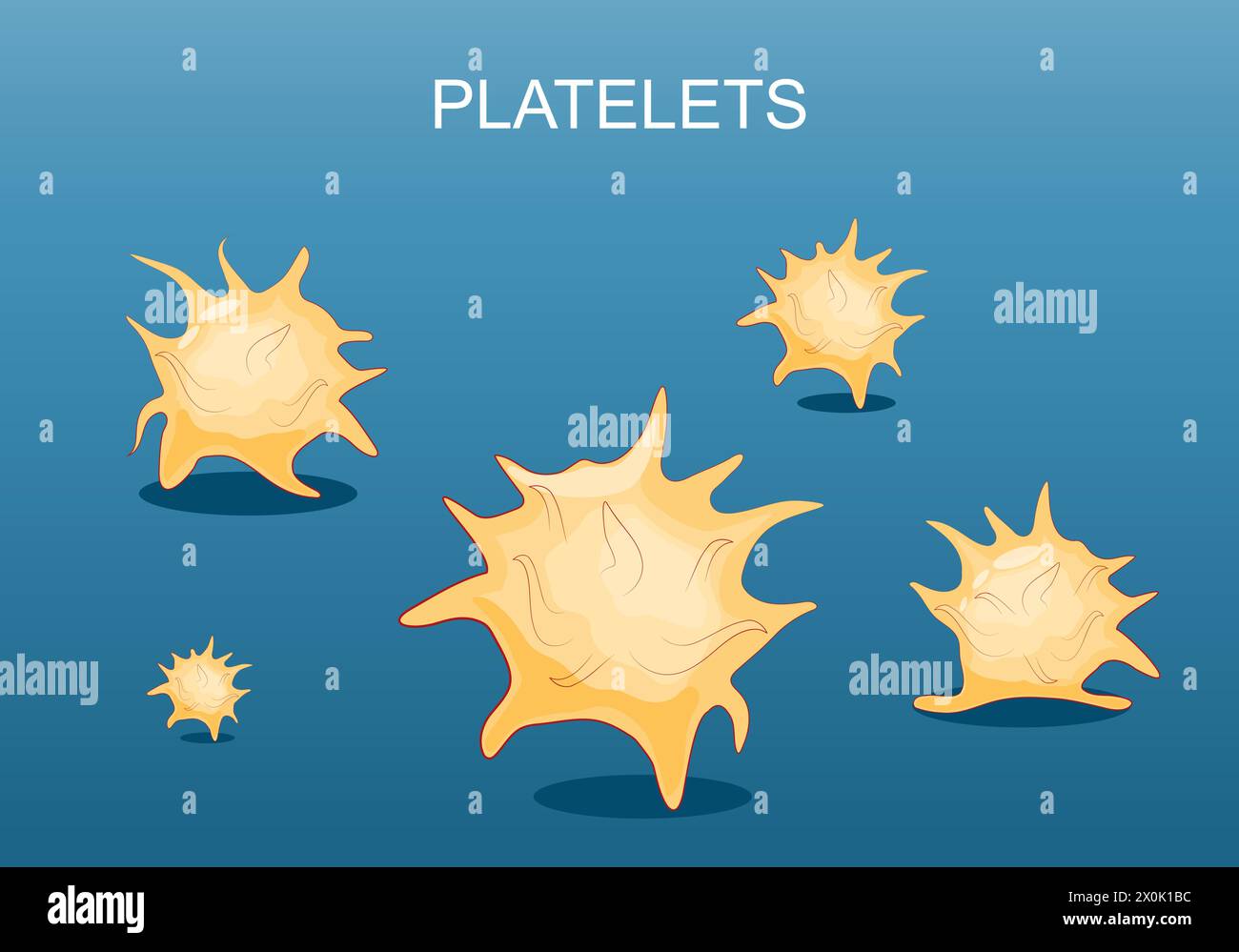 Platelets Clipart