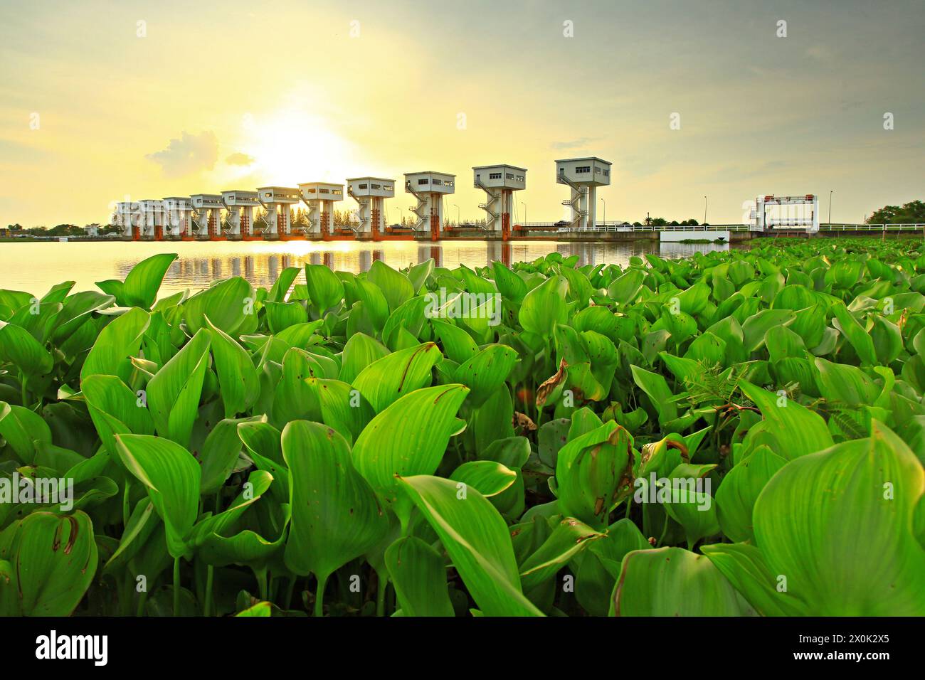 The Royal-initiated Pak Phanang River Basin Development Project, Nakhon ...