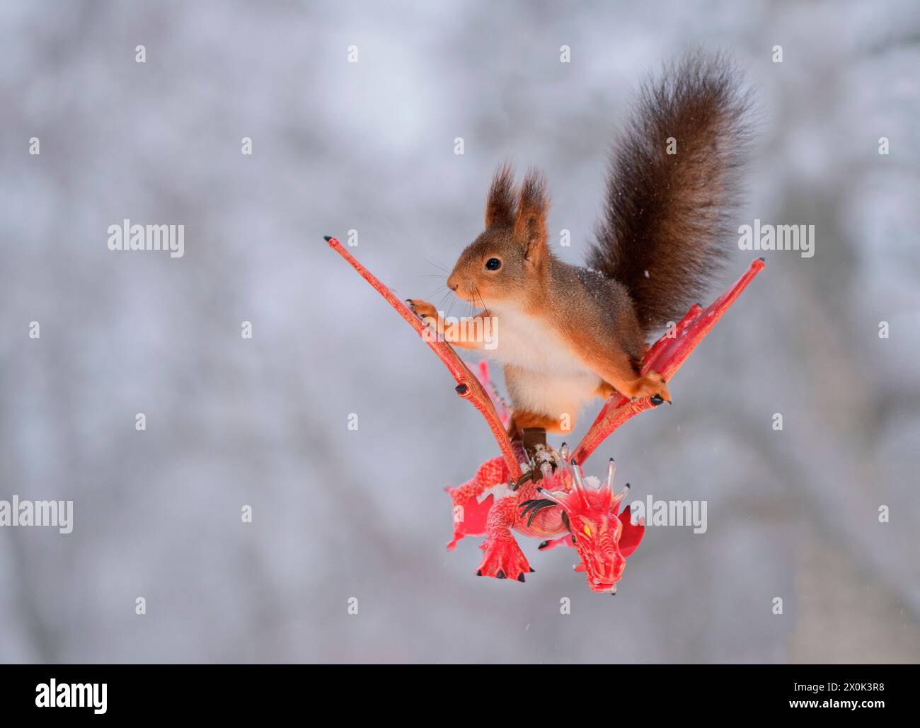 Flying a dragon hi-res stock photography and images - Alamy