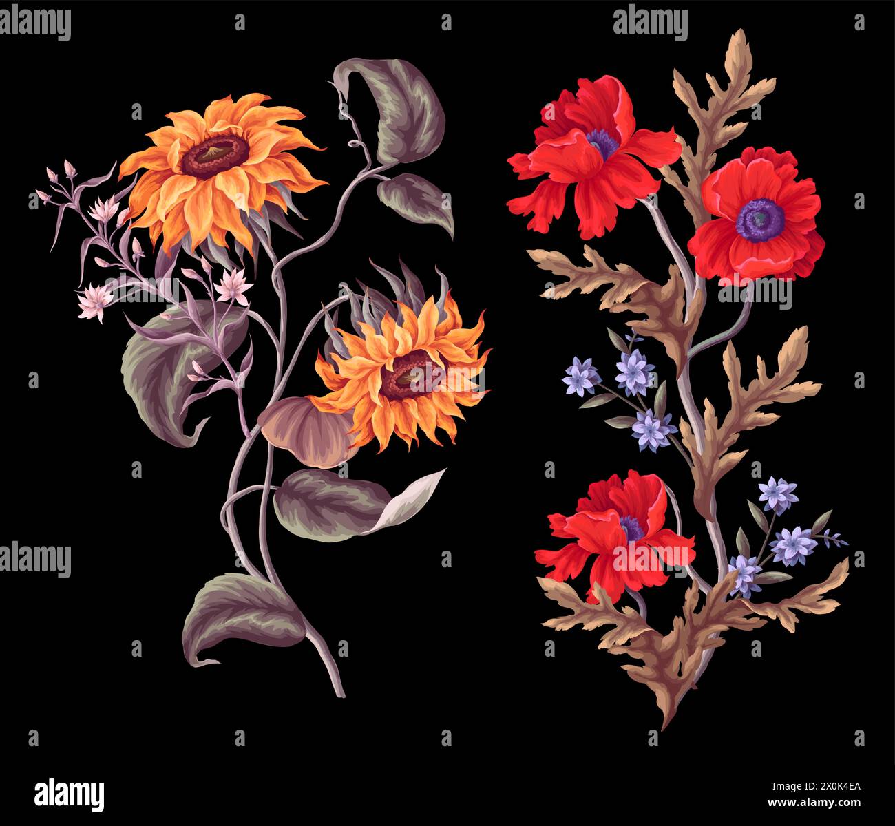Bouquets with sunflowers, poppies and other wild flowers. Vector Stock ...