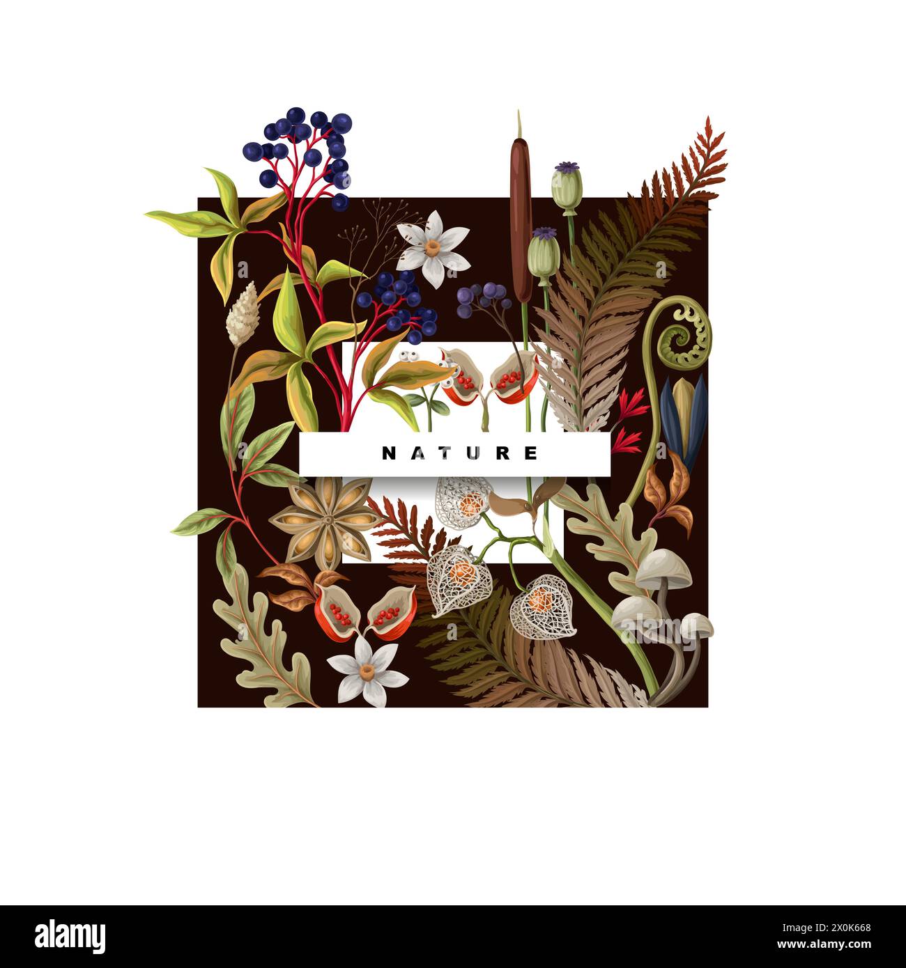 Poster with autumn leaves, berries and seeds. Vector Stock Vector Image ...