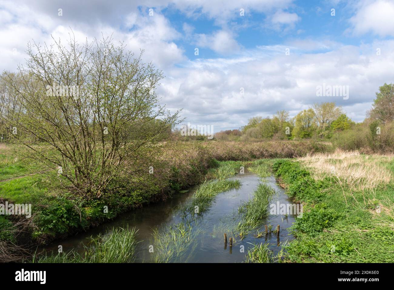 Hawley Meadows during spring, a riverside country park with wet ...