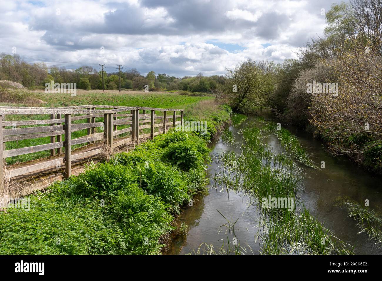 Hawley Meadows during spring, a riverside country park with wet ...