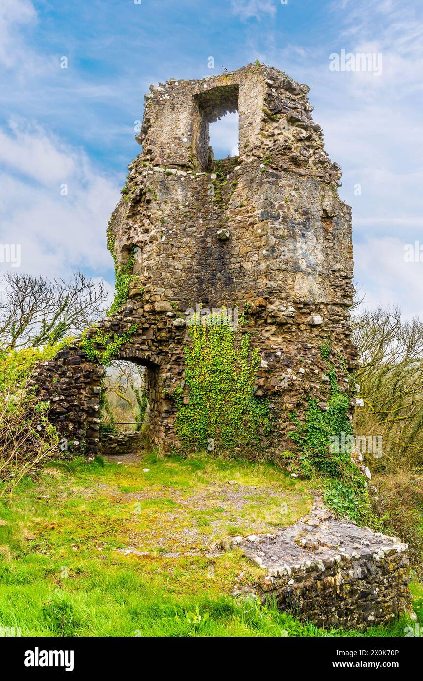A view towards the interior of the south east tower in the castle ruins ...