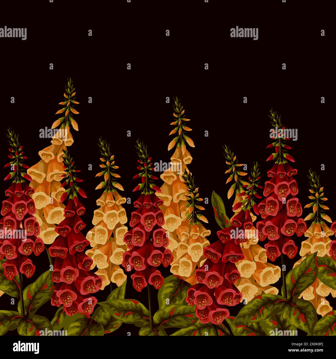 Border with foxglove flowers. Vector Stock Vector Image & Art - Alamy