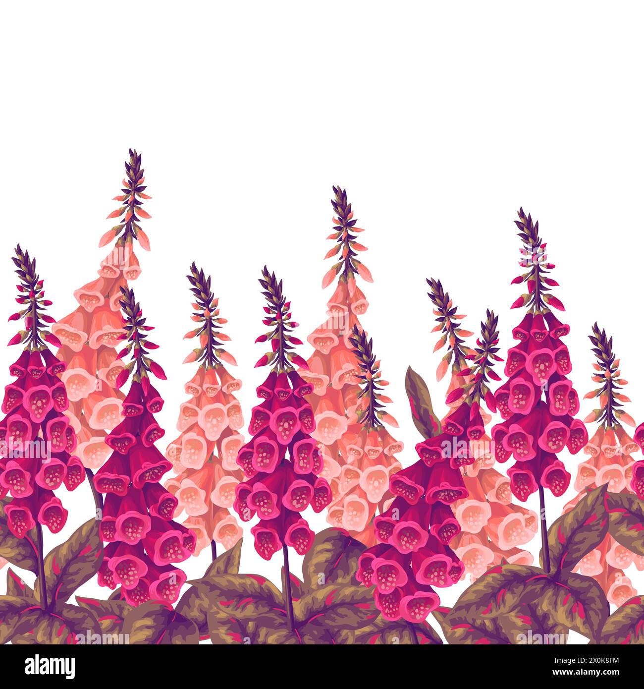 Border with foxglove flowers. Vector Stock Vector Image & Art - Alamy