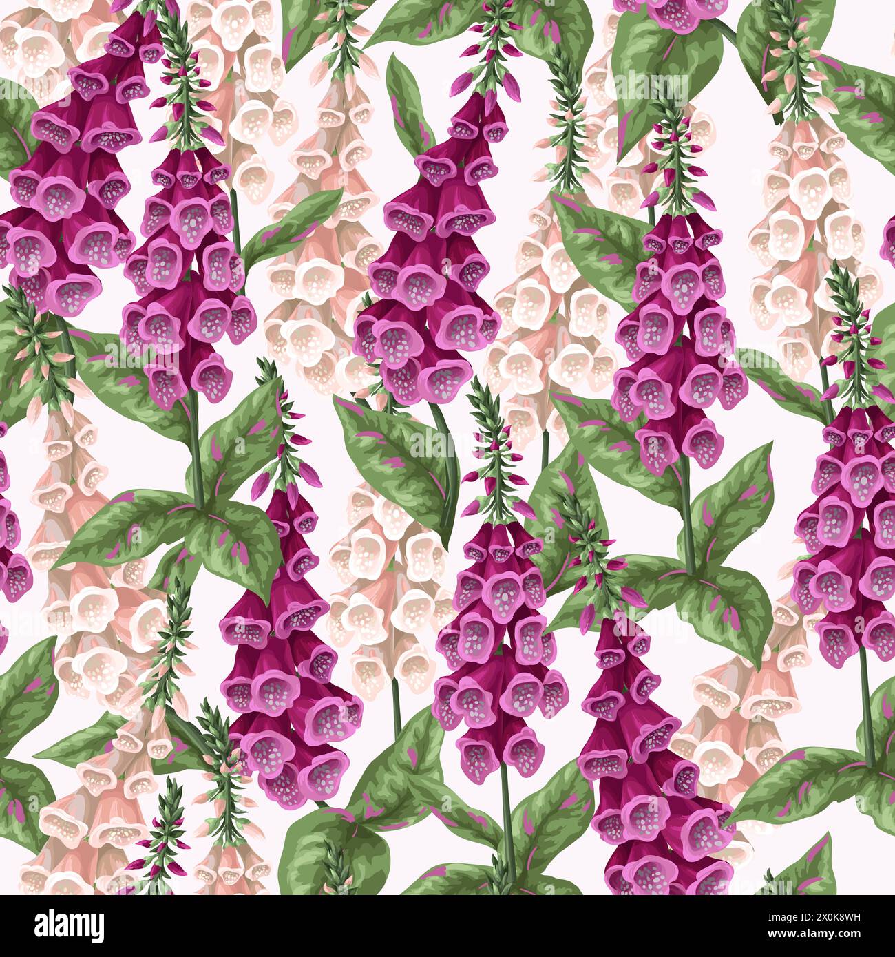 Foxglove flower vector hi-res stock photography and images - Alamy