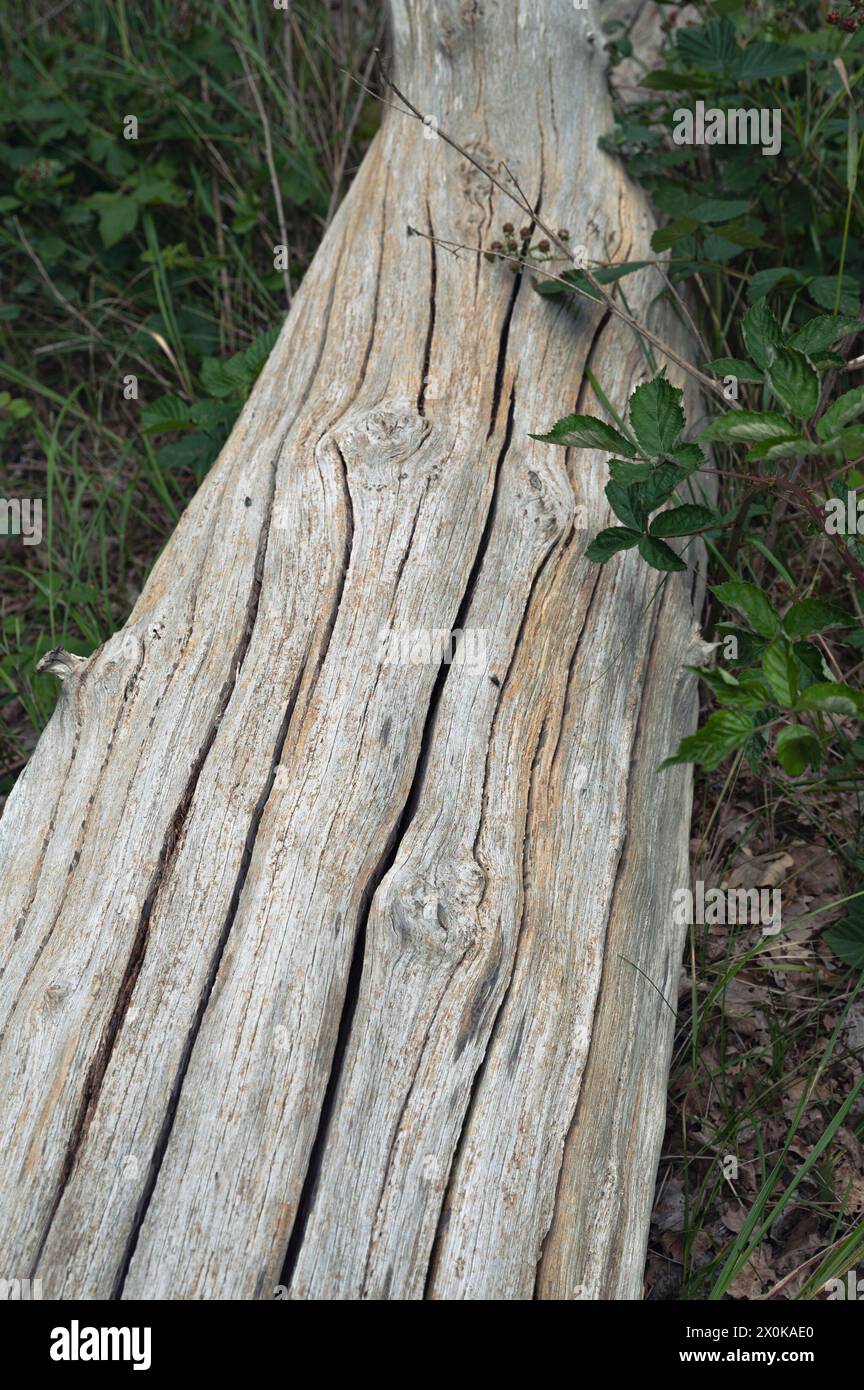 Without floor hi-res stock photography and images - Alamy