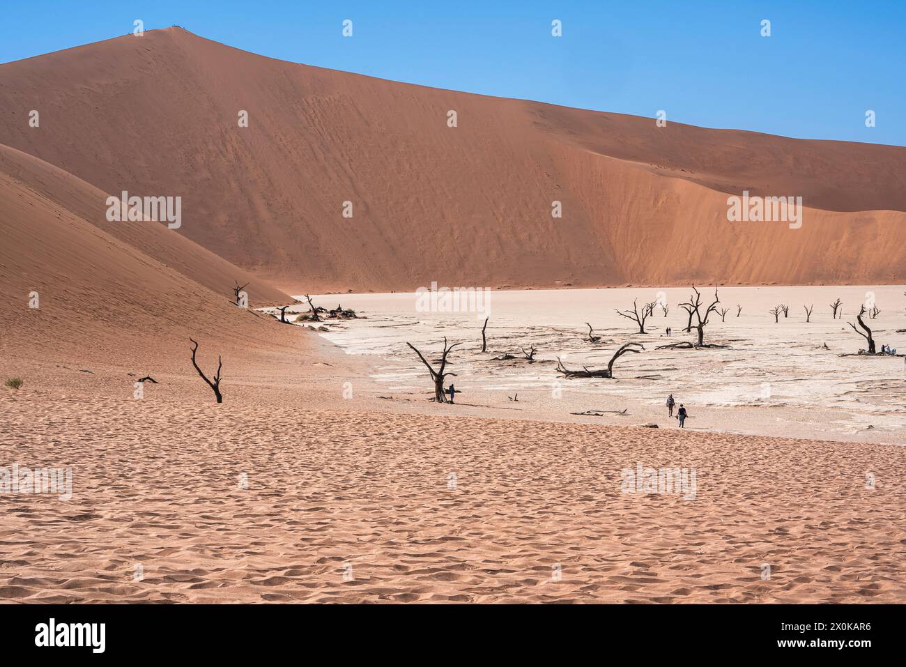 Deadvlei in the Namib-Naukluft National Park, Namibia Stock Photo - Alamy