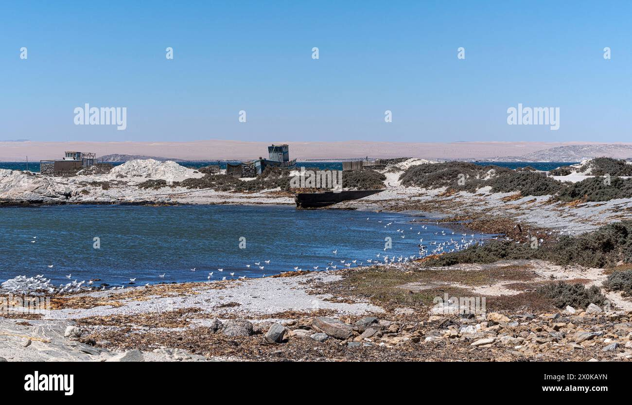 Spur point hi-res stock photography and images - Alamy